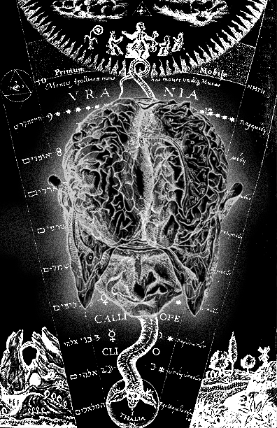 libidinous deathless clones: Moieties by Elytron Frass – 調虎離山 :: DIFFRACTIONS :: 0xAA55
